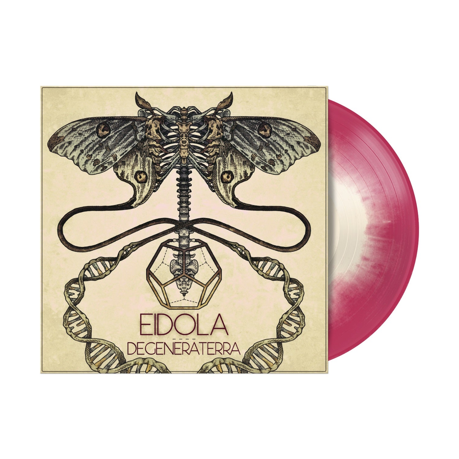 Degeneraterra - Magenta & Beer Color In Color Vinyl LP – MerchNow